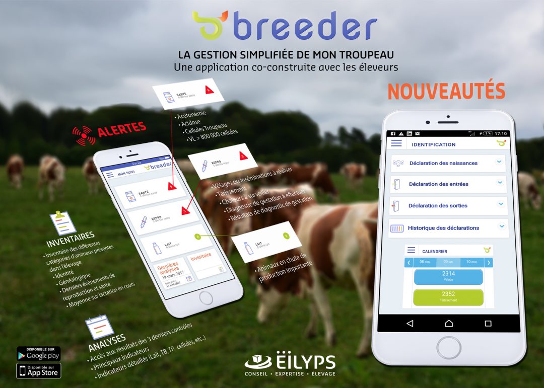 Déclarez vos mouvements d'animaux sur BREEDER - Eilyps